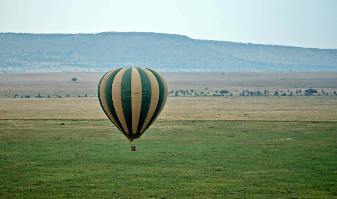 7-Day Serengeti Fly-Out Safari - Glimpse of Tanzania